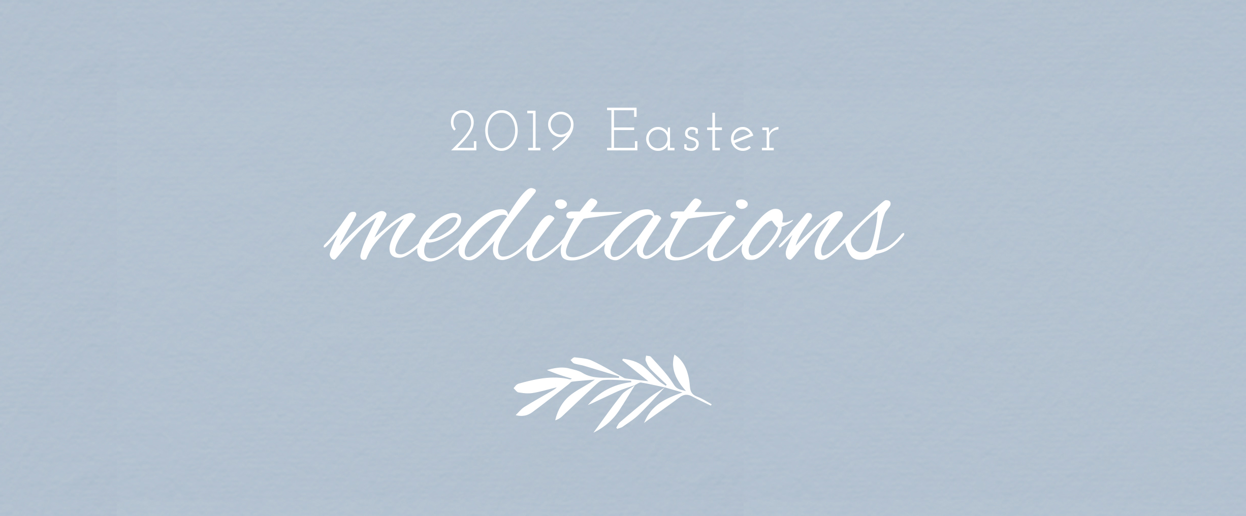 Blog – The Coffee Oasis